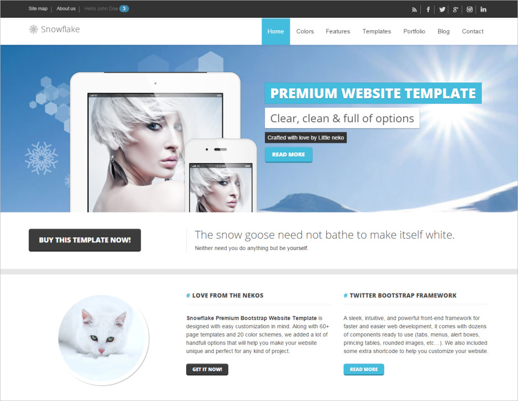 Responsive Bootstrap Website Templates Free & Premium