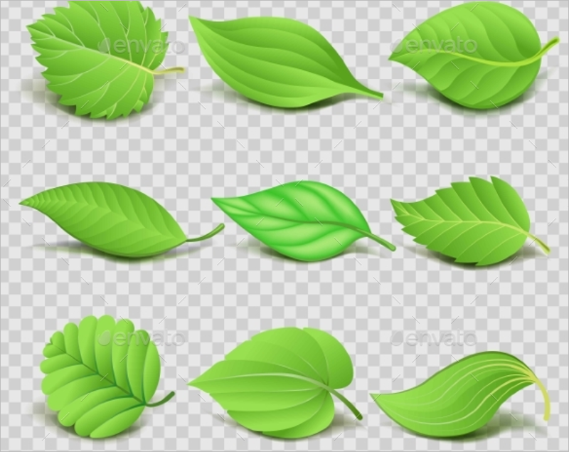 24+ Free Printable Leaf Templates