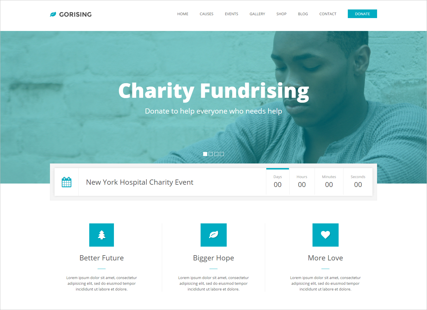 16+ Charity Html5/Css3 Website Templates - Creative template