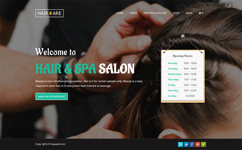 15+ Hair Salon Wordpress Themes | Free & Premium