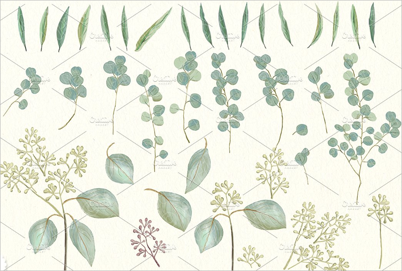 24+ Free Printable Leaf Templates