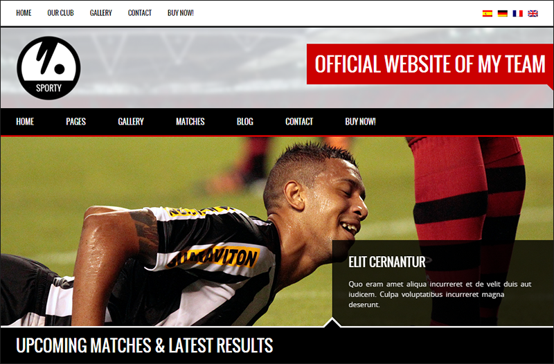 20+ Sports WordPress Themes Free & Premium Templates