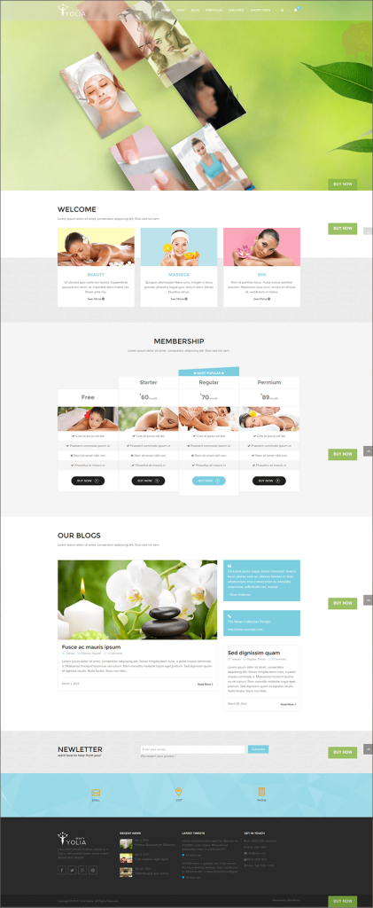 6+ Beauty Blogger Templates 2018 Free & Premium Themes