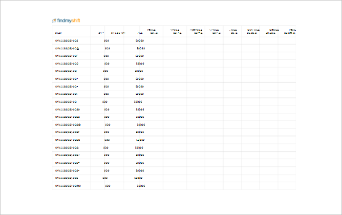 31+ Daily Work Schedule Templates Free PDF, Excel, Word Download