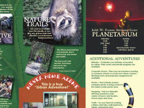10+ Zoo Brochure Templates | Free & Premium Templates