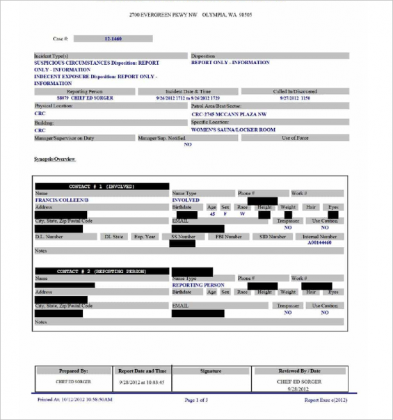 24+ Printable Police Report Templates Free PDF, Word Formats
