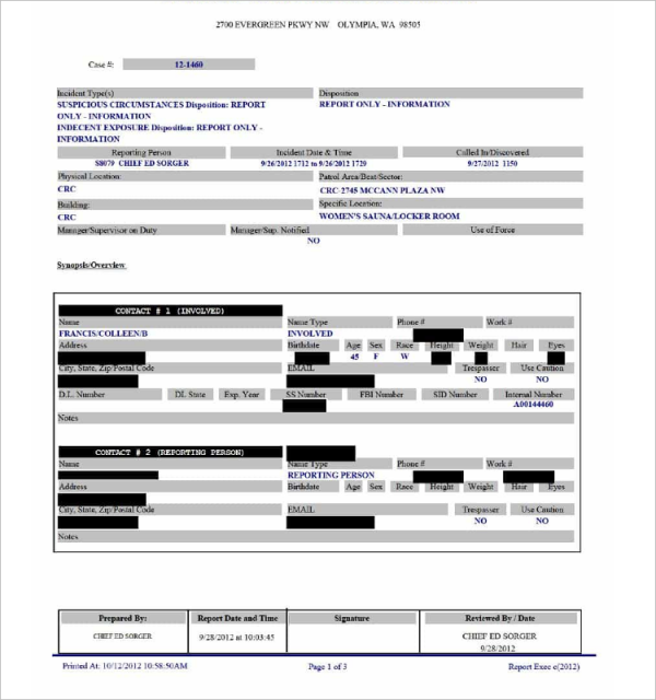 24+ Printable Police Report Templates Free PDF, Word Formats