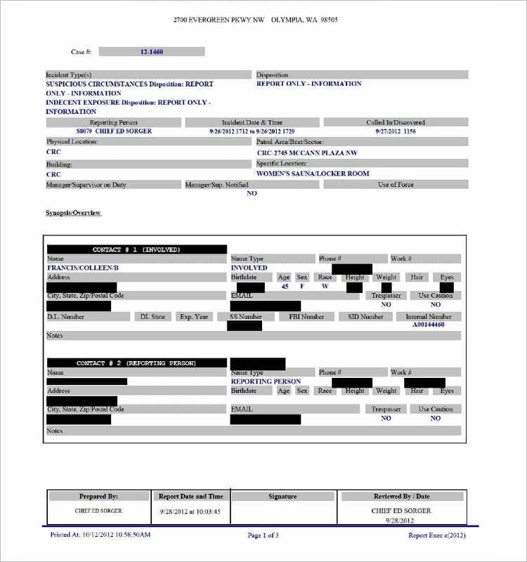 24+ Printable Police Report Templates Free PDF, Word Formats