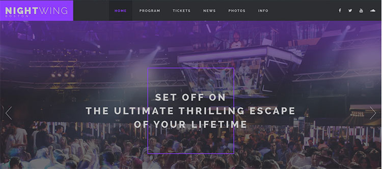 10+ Best Night Club Website Templates Free Download