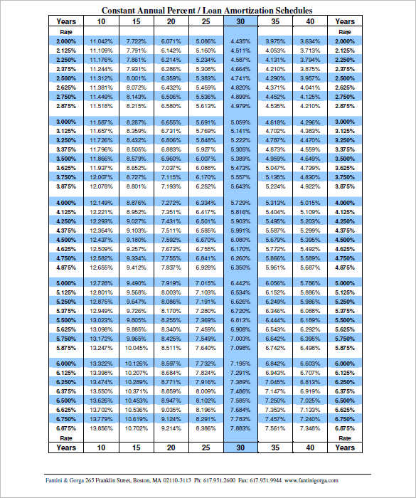13+ Amortization Schedule Templates Word Form Document