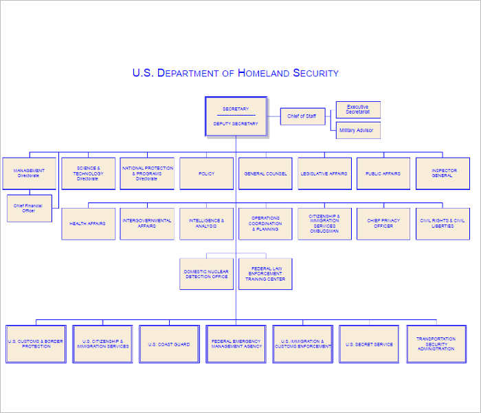 107+ Organizational Chart Templates Free Word, Excel Formats