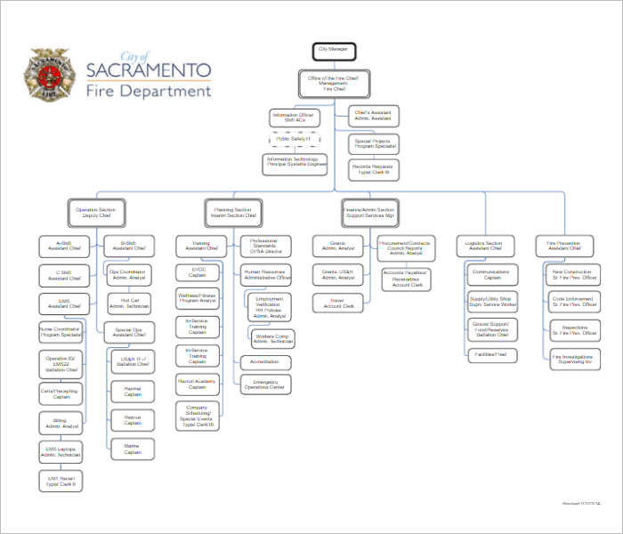 107+ Organizational Chart Templates Free Word, Excel Formats