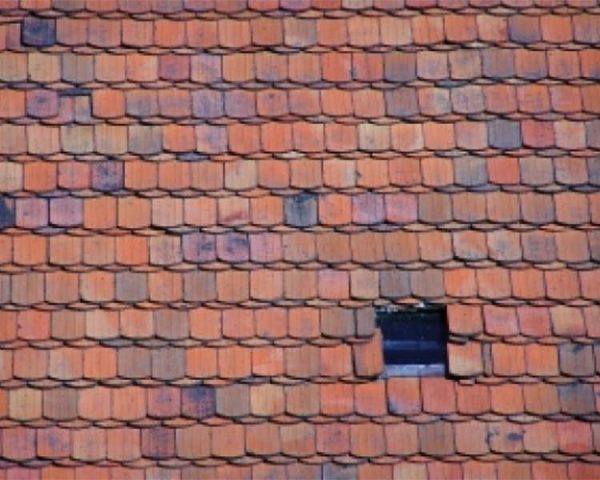 Exploring the Timeless Elegance: A Dive into Slate Roof Textures