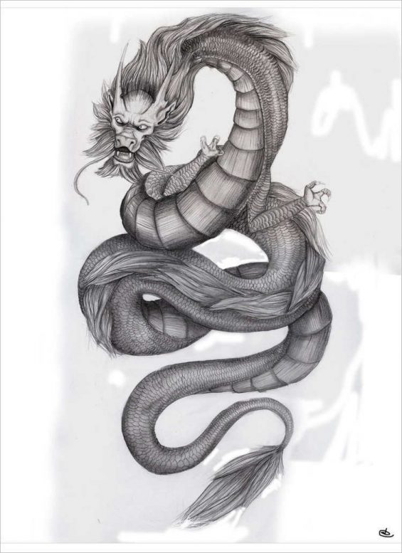 Captivating Dragon Pencil Drawings for Art Enthusiasts