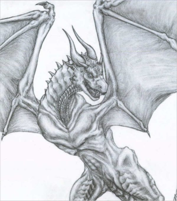 Captivating Dragon Pencil Drawings for Art Enthusiasts