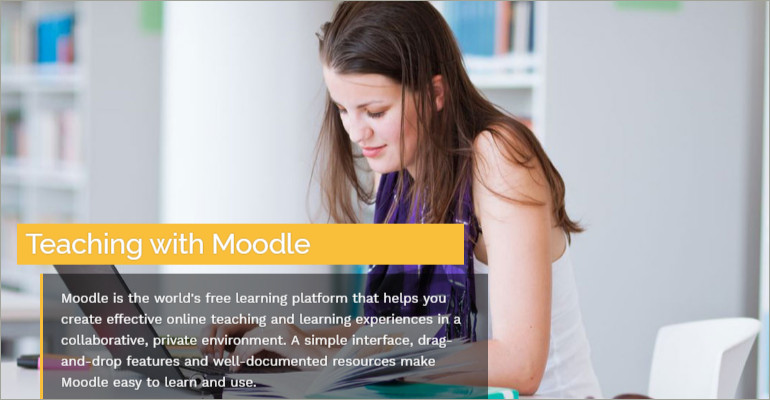 22+ Professional Moodle Themes Free Website Templates