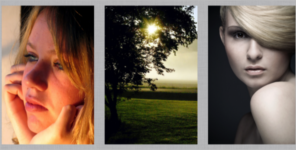 Photo Gallery Bootstrap Templates Free & Premium Themes