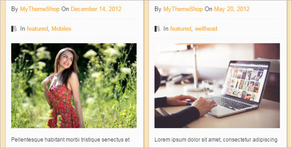 27+ Pinboard WordPress Themes || Free & Premium