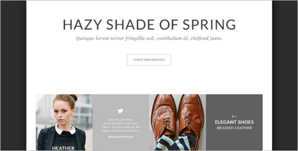 7+ Responsive Free PSD eCommerce Templates Website Themes