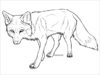 40+ Printable Fox Templates Free Design Templates