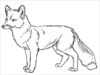 40+ Printable Fox Templates Free Design Templates
