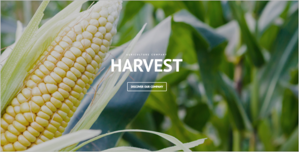 30+ Best Agriculture WordPress Themes Free Responsive Templates