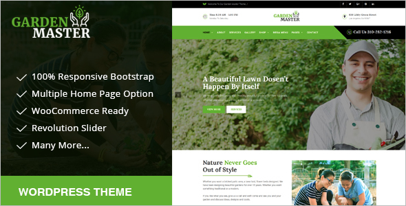 30+ Responsive Multipurpose WordPress Themes