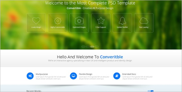 30+ Responsive Multipurpose WordPress Themes