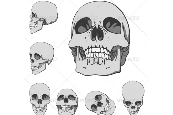 Human Skull Illustration Templates || Free & Premium Designs