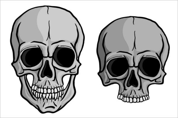 Human Skull Illustration Templates || Free & Premium Designs