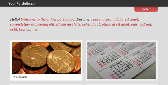 30+ Best Portfolio PHP Themes & Templates | Free & Premium