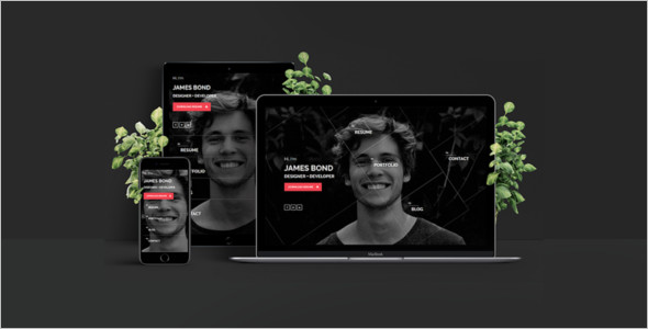 30+ Best Portfolio PHP Themes & Templates | Free & Premium