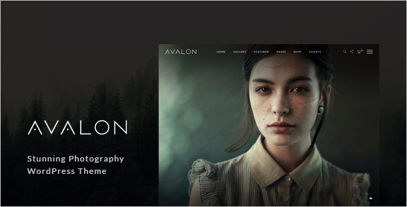 25+ Best Photographer WordPress Themes Free Website Templates