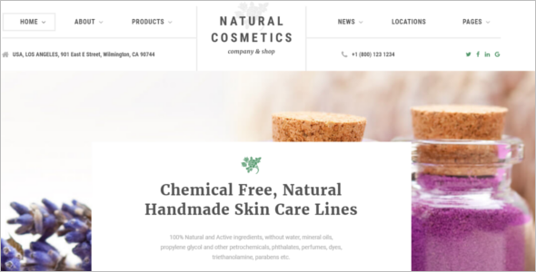 32+ Cosmetics Website Templates Free & Premium Themes
