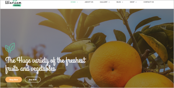 32+ Best Agriculture Website Templates Free & Premium Themes