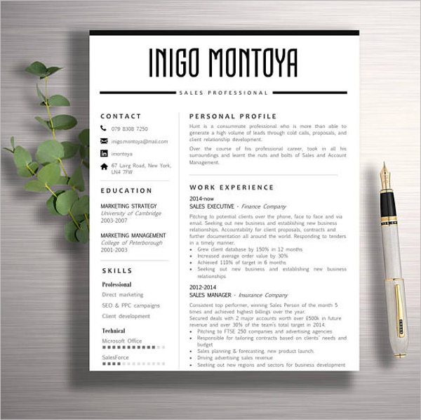 26+ Personal Statement Templates Free PDF, Word, Samples, Examples