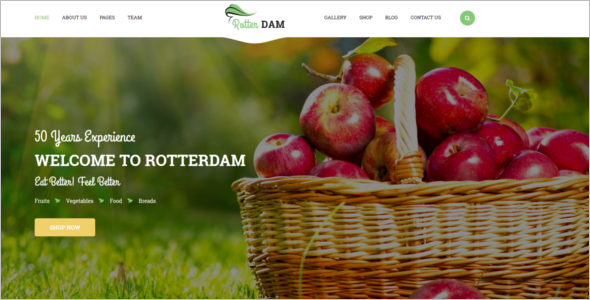 32+ Best Agriculture Website Templates Free & Premium Themes