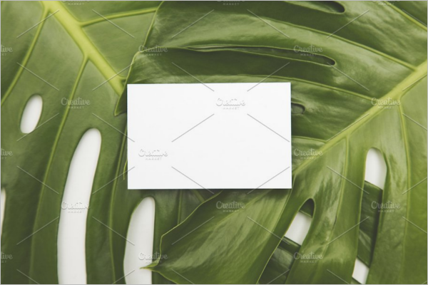 30+ Blank Business Card Templates Free Word PSD Designs