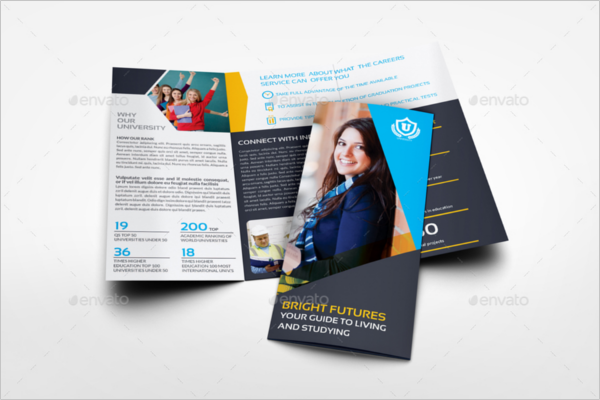 40+ College Brochure Templates Free PSD, PDF, Word Sample Designs