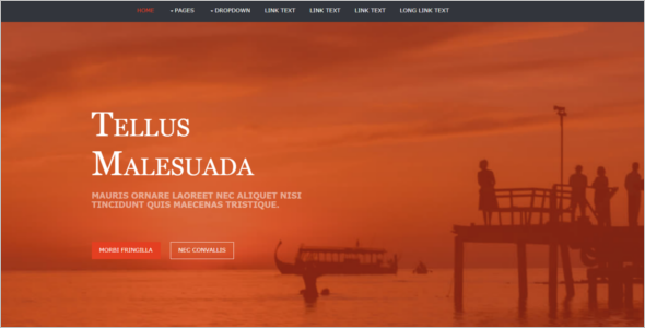 40+ Best Responsive Free Website Templates | Creative Template