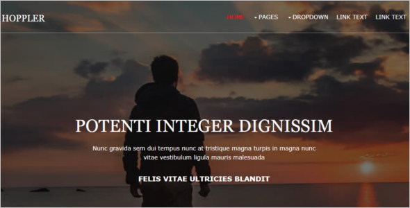 21+ Free HTML5 Templates Free Website Templates