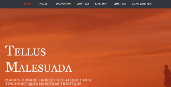 21+ Free HTML5 Templates Free Website Templates