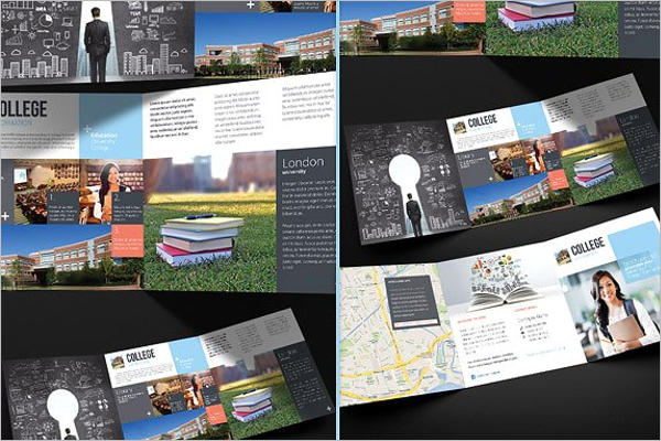 40+ College Brochure Templates Free PSD, PDF, Word Sample Designs