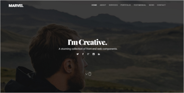 40+ Responsive Portfolio Website Templates Free Themes
