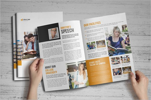 40+ College Brochure Templates Free PSD, PDF, Word Sample Designs