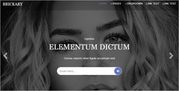 21+ Free HTML5 Templates Free Website Templates
