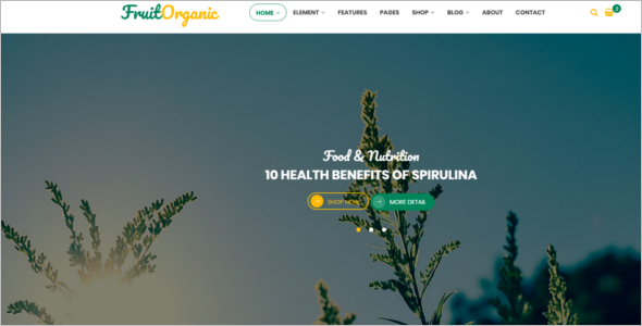 40+ Responsive Agriculture HTML5 Templates Free Website Themes