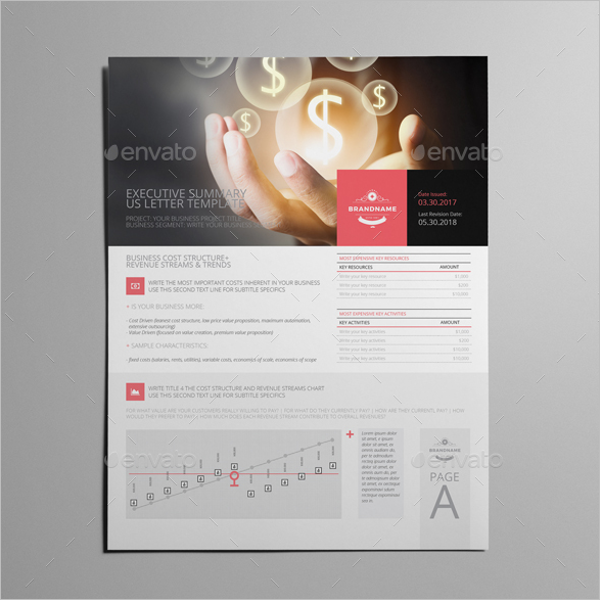 32+ Executive Summary Templates Free Word, PPT, PDF Formats