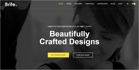 30+ Professional HTML5 Templates Free Website Themes