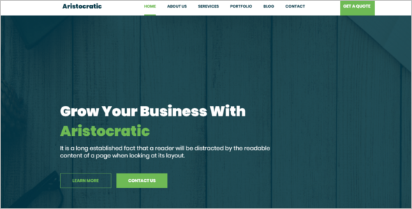 30+ Professional HTML5 Templates Free Website Themes